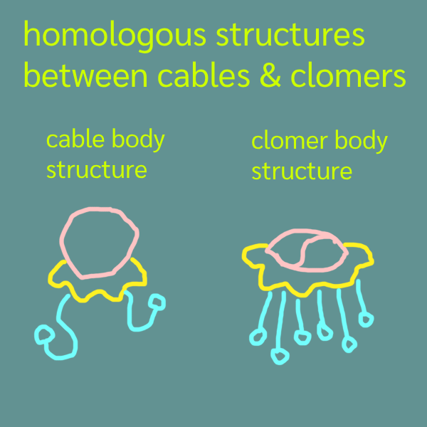 Cable | Nap Wiki | Fandom