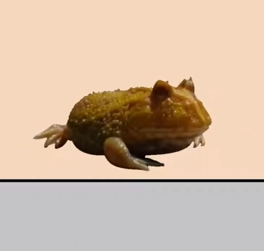 Pecko | Napoleon Dynamite YTTP Wiki | Fandom