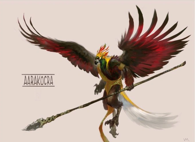 Aarakocra | Narathume Wiki | Fandom