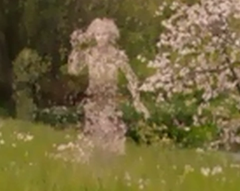 Dryades | Wiki Narnia | Fandom