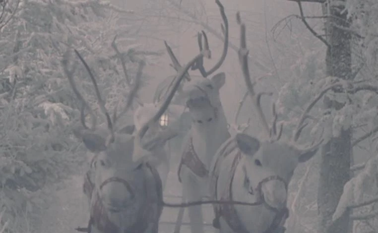 Renifer | Narnia Wiki | Fandom