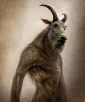 Satyr | The Chronicles of Narnia Wiki | Fandom