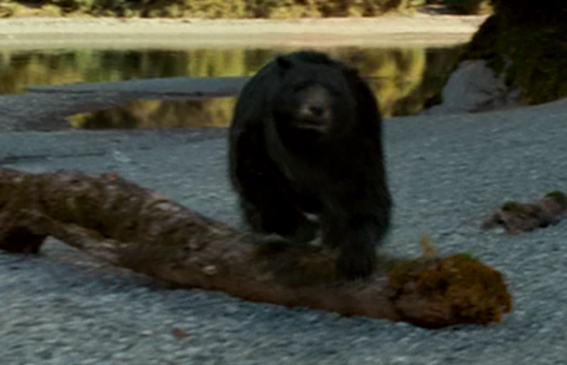 Ours | Wiki Narnia | Fandom