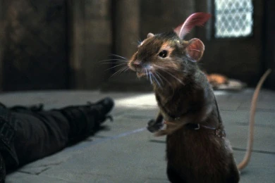 Myszy | Narnia Wiki | Fandom