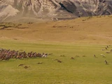 Category:Conflicts | The Chronicles of Narnia Wiki | Fandom