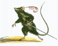 Reepicheep | The Chronicles of Narnia Wiki | Fandom