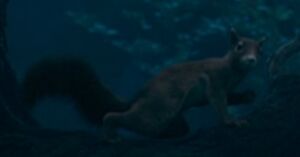 Squirrel | The Chronicles of Narnia Wiki | Fandom