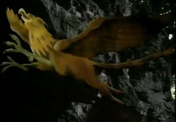 Gryphon Narnia