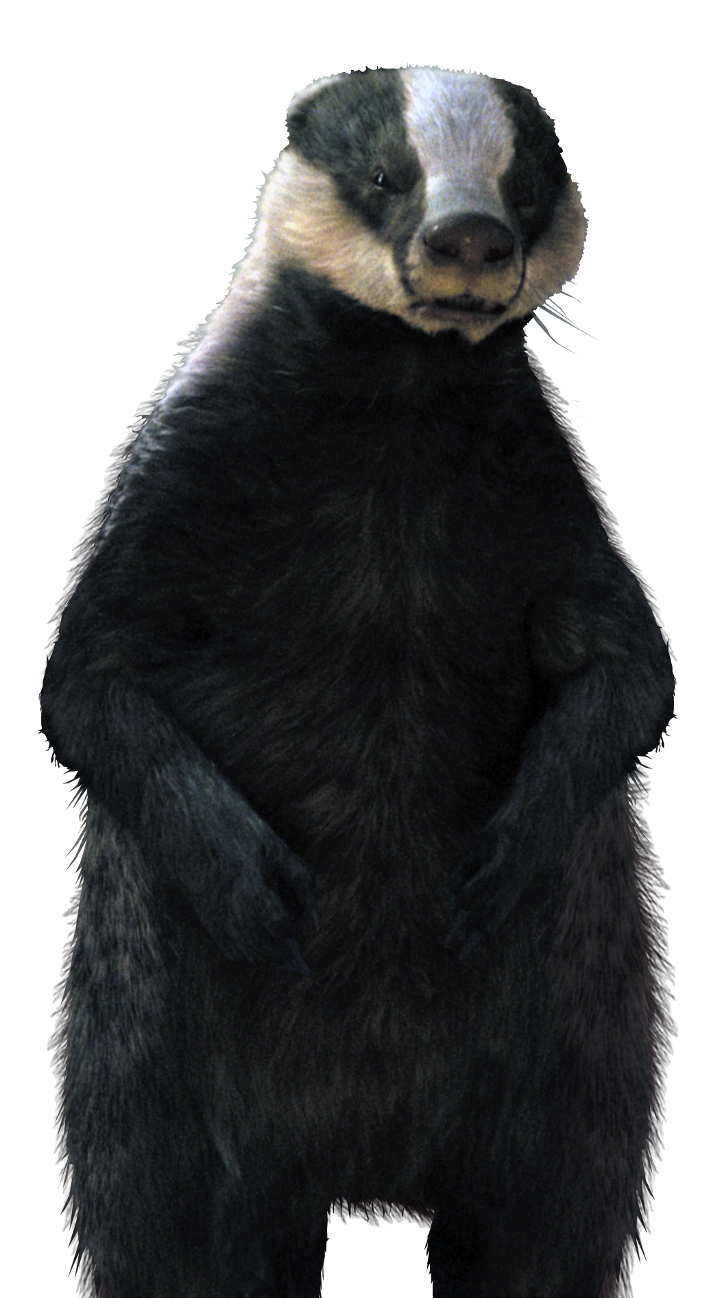 Badger | The Chronicles of Narnia Wiki | Fandom