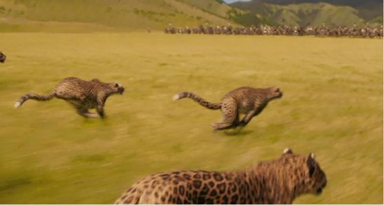 Leopard | Narnia Wiki | Fandom Leopard | Narnia Wiki | Fandom
