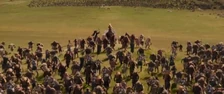 First Battle of Beruna | The Chronicles of Narnia Wiki | Fandom