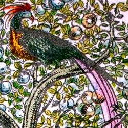 Phoenix | The Chronicles of Narnia Wiki | Fandom