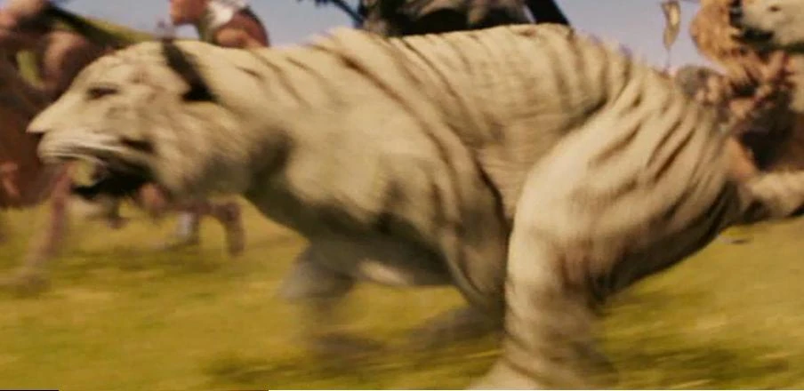 Tygrys śnieżny | Narnia Wiki | Fandom