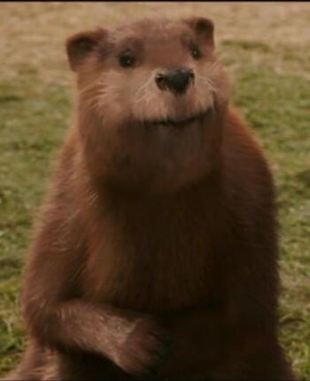 Pan Bóbr | Narnia Wiki | Fandom