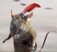 Reepicheep | The Chronicles of Narnia Wiki | Fandom