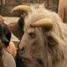 Minotaur | The Chronicles of Narnia Wiki | Fandom