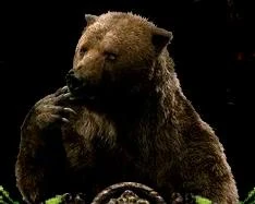 Bear | The Chronicles of Narnia Wiki | Fandom