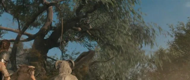 Drzewa | Narnia Wiki | Fandom