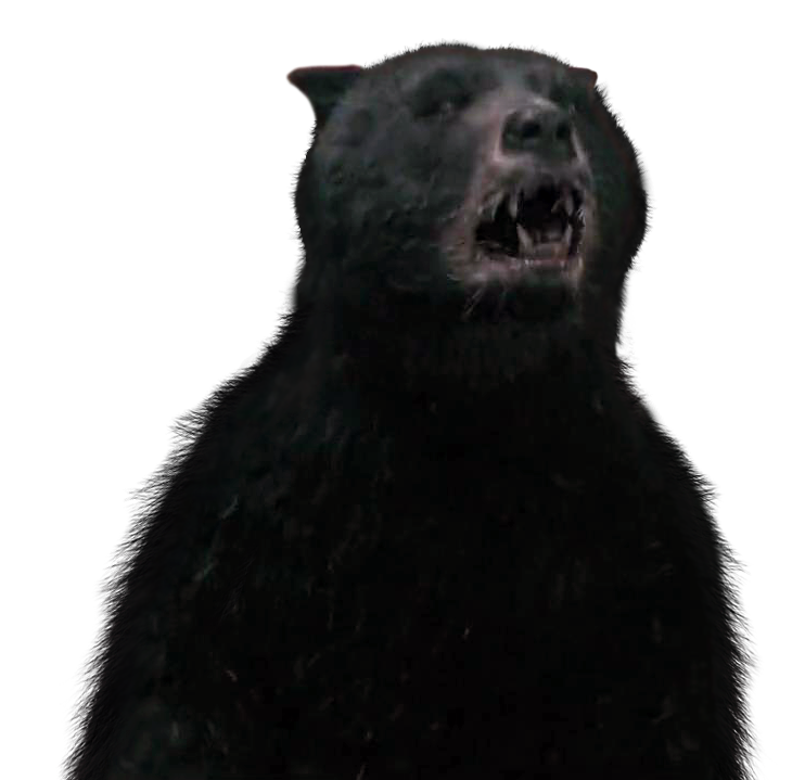 Bear | The Chronicles of Narnia Wiki | Fandom