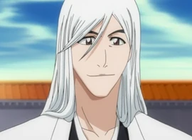 Jushiro Ukitake | Naruto, Bleach and Sonic Wiki | Fandom