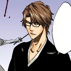 Sosuke Aizen | Naruto, Bleach and Sonic Wiki | Fandom