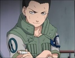 Chunin | Naruto and Bleach Wiki | Fandom