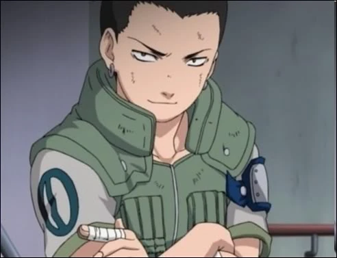 Chunin | Naruto and Bleach Wiki | Fandom