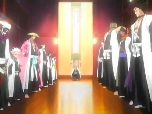 Soul Reaper | Naruto and Bleach Wiki | Fandom