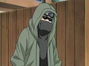 Shino Aburame | Naruto and Bleach Wiki | Fandom