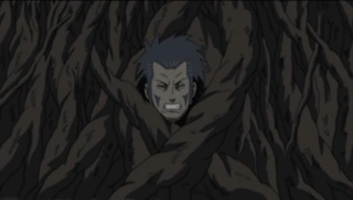 Wood Release: Tree Bind Flourishing Burial | Naruto Fandom Wiki | Fandom