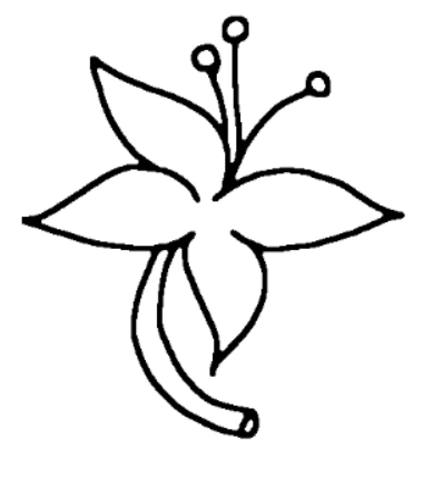 Era Clan | Naruto Weasy AU Wiki | Fandom