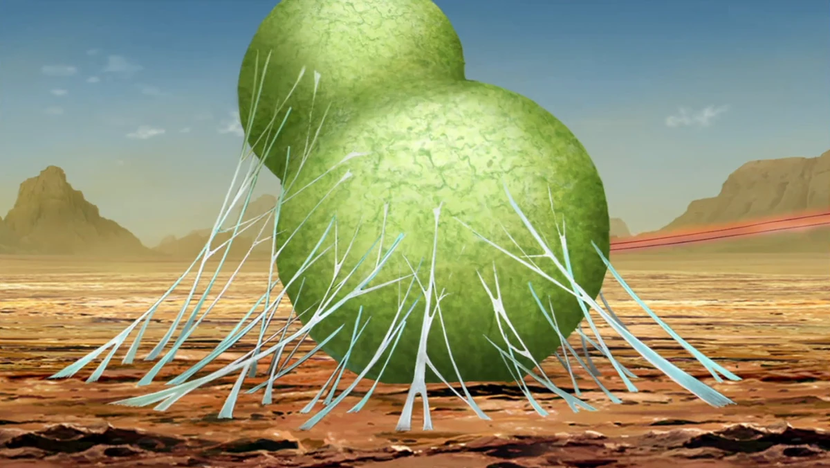 Cocoon | Naruto Wiki | Fandom