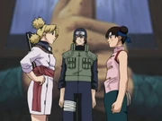 Tenten | Wiki Naruto | Fandom