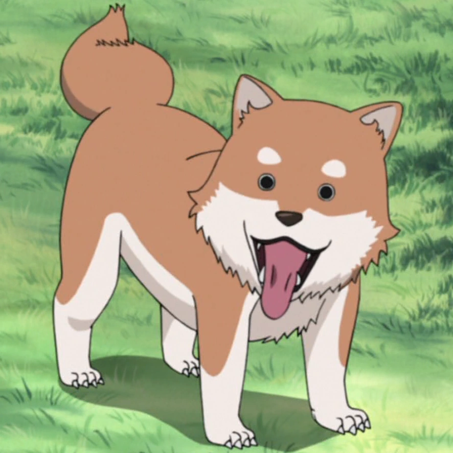 Shiro | Naruto Wiki | Fandom