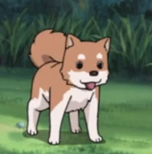 Shiro (Land of Ancestors) | Narutopedia | Fandom