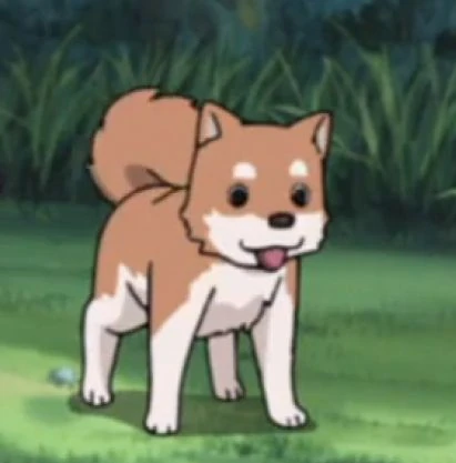 Shiro (Land of Ancestors) | Narutopedia | Fandom