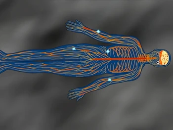 Body Pathway Derangement | Narutopedia | Fandom