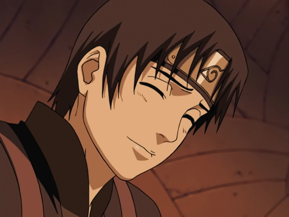 The Picture Book's Story | Narutopedia | Fandom