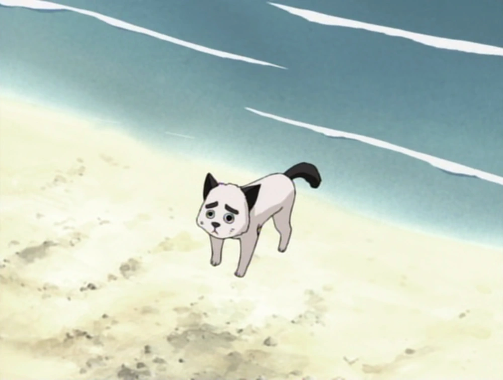 Pochi | Naruto Wiki | Fandom