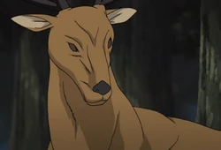 Rikumaru | NarutoPedia | Fandom