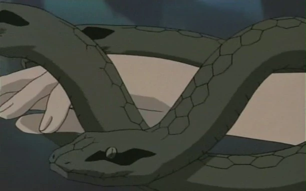 Sen'eijashu | Naruto Wiki | Fandom