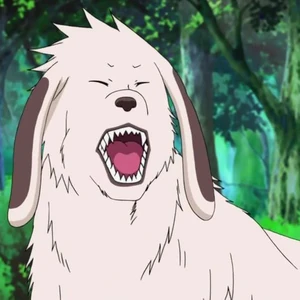 Discuss Everything About Naruto Wiki | Fandom