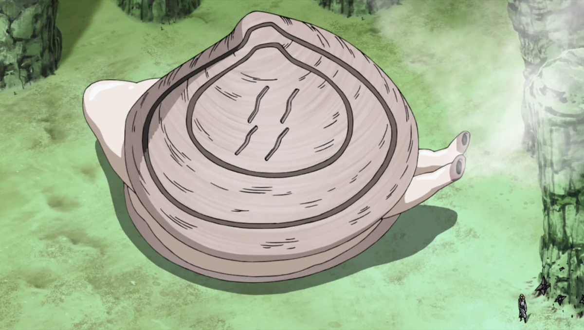 Giant Clam | Narutopedia | Fandom