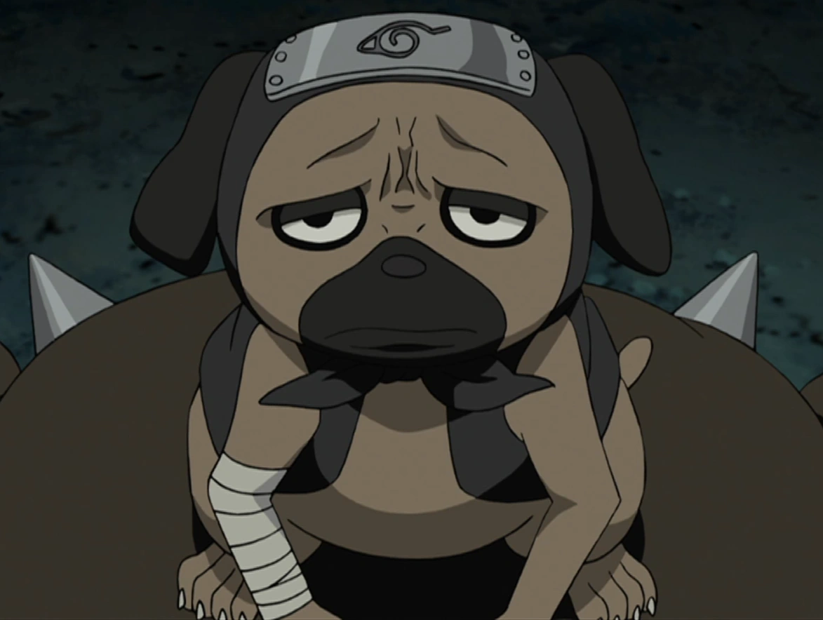 Pakkun | Narutohun Wiki | Fandom