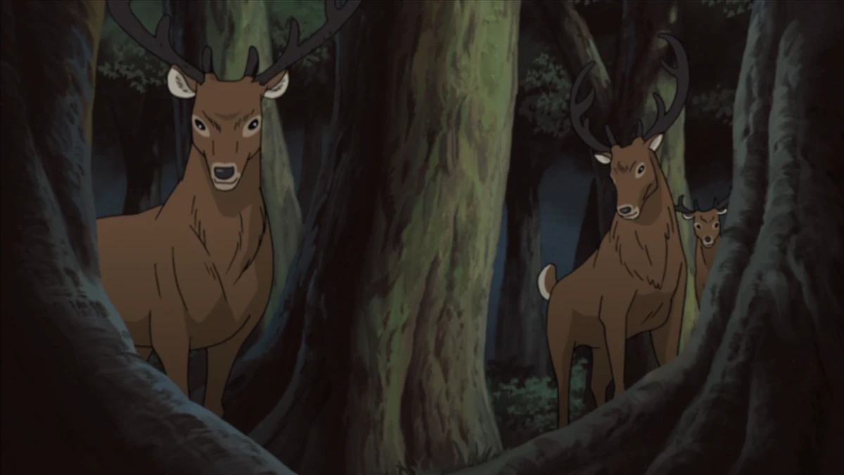 Nara Clan Forest | Narutopedia | Fandom