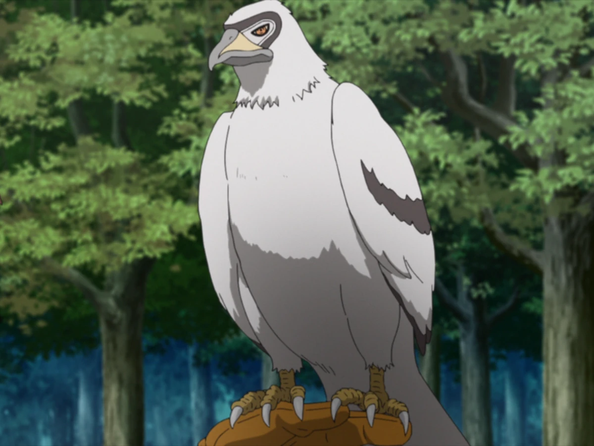 Yuki (hawk) | Narutopedia | Fandom