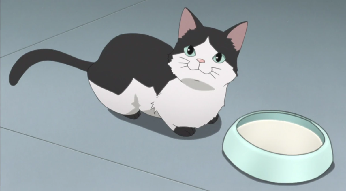 Mikazuki | Narutohun Wiki | Fandom