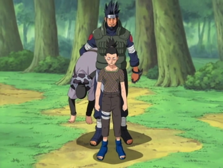 Naruto Shippuden Shikamaru Dies