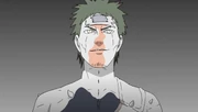 Substitute Technique | Narutopedia | Fandom