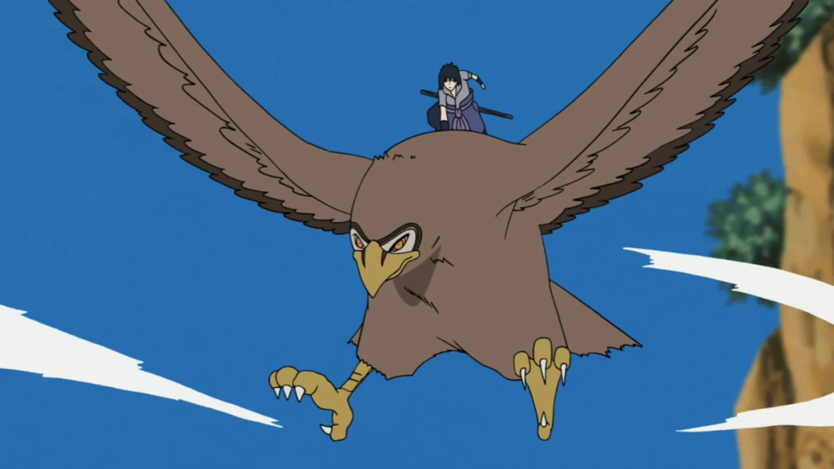 Hawk | Narutopedia | Fandom